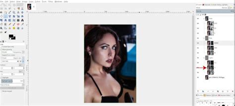 How To Download Luminosity Mask Plugin For GIMP Davies Media Design