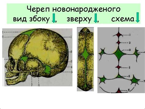 Вчення про зєднання презентация онлайн