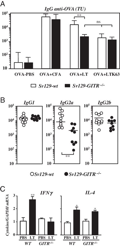 The Expression Of Gitr In T Cells Modulates The Systemic Adjuvanticity Download Scientific