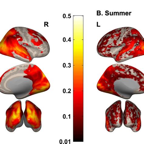 The Perceptual Model Prediction Performance Observed In Sherlock A Download Scientific