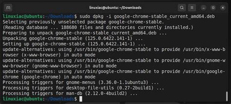 How To Install DEB File In Ubuntu 24 04 LTS