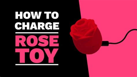 How To Charge The Rose Toy PRO TIPS From A Sex Toy Tester My Sex Toy Guide