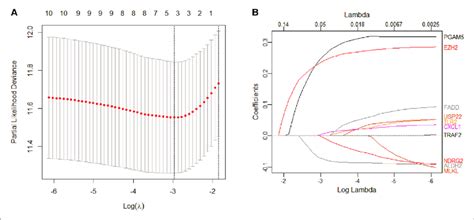 A And B Coefficient And Partial Likelihood Deviance Of The Risk