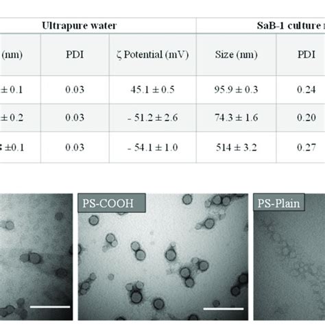 Characterization Of The Functionalized Polystyrene Ps Nanoplastics
