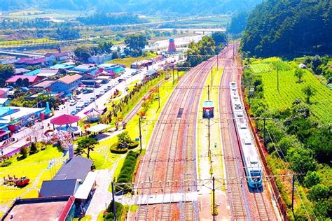 동해산타열차 개통식 노선도 시간표 강릉 분천 산타마을 기차여행 네이버 블로그