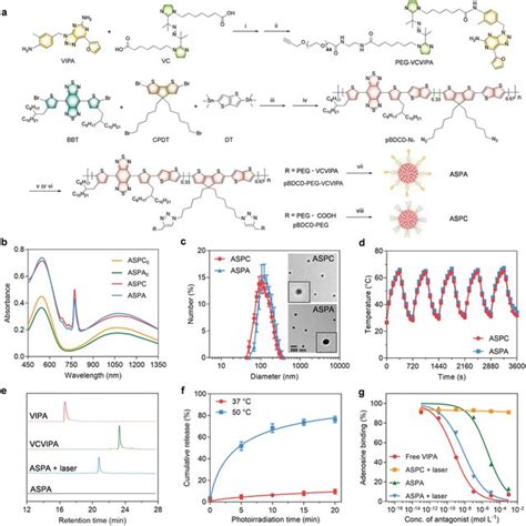 Synthesis And Characterization Of Aspa A Preparation Of Aspa And Download Scientific Diagram
