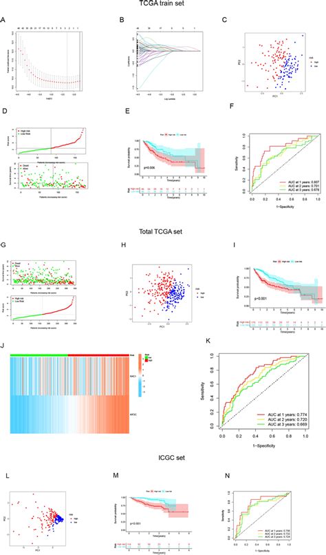 Development And Verification Of The Prognostic Signature A B Lasso