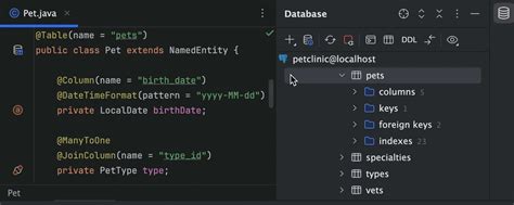 intellij idea에서 데이터베이스를 이용한 java 개발 시 생산성을 높이는 9가지 팁 the intellij