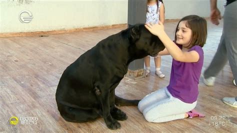 კანე კორსოს მეტისების ისტორიები და იღბლიანი დასასრული Youtube