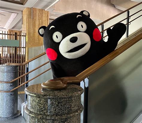 くまモン【公式】 On Twitter おはくま〜！みなさん、気をつけていってらっしゃいだモン！
