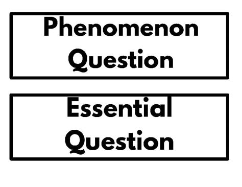 Phd Science Aligned 3rd Grade Module 3 Focus Wall Materials Tpt