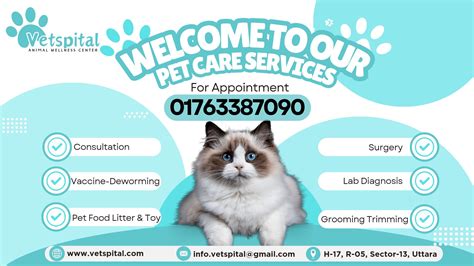 How To Create Facebook Page Like Campaign Tips And Tricks একটি পেইজ