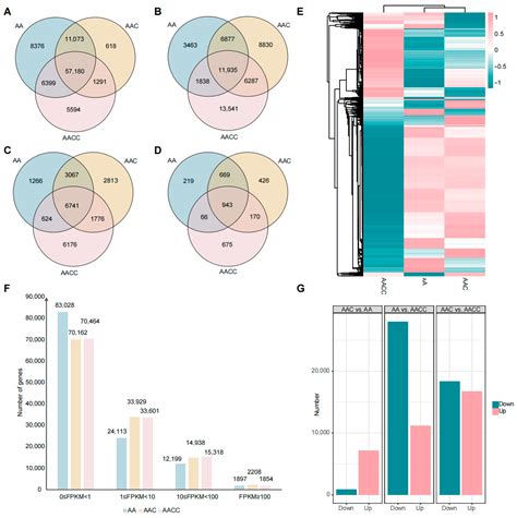 Transcriptome Shock In Developing Embryos Of A Brassica Napus And