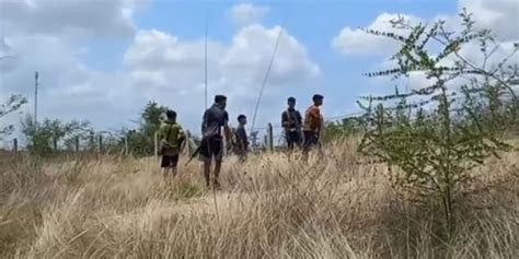 Dvb ပခုက္ကူ၌ စစ်တပ်စစ်ဆေးရေးဂိတ် တိုက်ခိုက်ခံရ