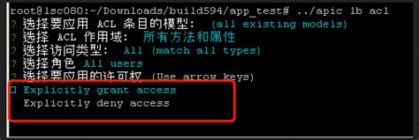 Gvthardcode Issue In Apic Lb Acl Issue Strongloop Generator