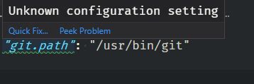 Remote Ssh Git Path Is An Unknown Configuration Setting In Remote Users Settings Json