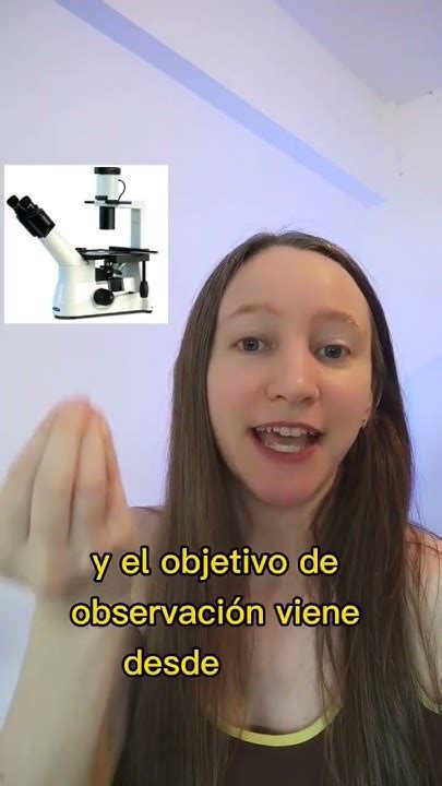 microscopio invertido arduino arduinouno electronica arduinonano arduinomega esp32 youtube