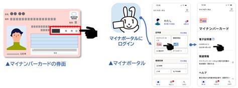 マイナンバーカードの利用者証明用電子証明書の有効期限について お知らせ 新着情報 東海地区石油業健康保険組合