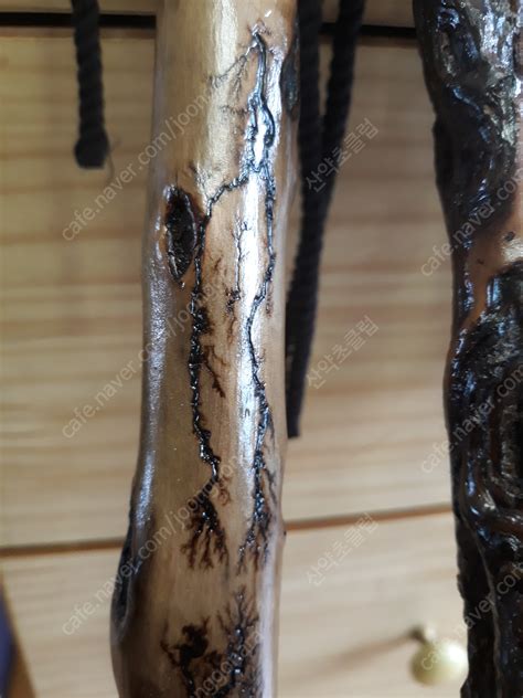 연수목감태나무지팡이 완성품 착한 가격 예술작품골동품수집 중고나라