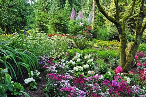 How To Create A Magical Woodland Garden
