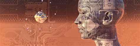 how people naturally describe robot behaviour hanson robotics