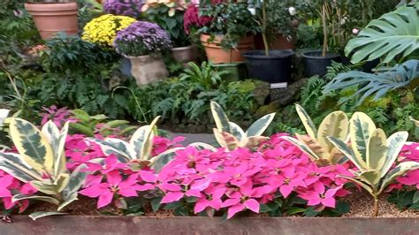 먹방 맛있는 요리 시간 즐거운 대화 먹방 냠냠 매너 Youtube