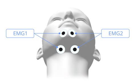 Ecg Eog Emg Biosignals Recording Mitsar Neurodiagnostics Electroencephalography Eeg