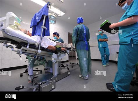 Small And Large Operations Are The Daily Routine In This Practice