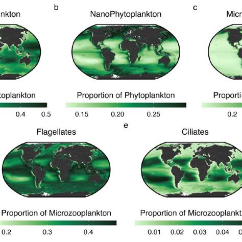 Figure S3 Distribution Of Phytoplankton And Micro Zooplankton Biomass