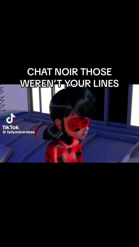 Miraculous Ladybugandcatnoir Chatnoir Miraculous Ladybug Memes