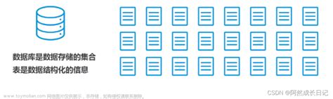 【mysql系列】 初识数据库 Toy模板网