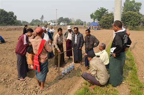 ကျောက်ဆည်မြို့နယ်တွင် ဘောင်စနစ်ဖြင့် နွေးနှမ်းစိုက်ပျိုးနေမှုအား အမရပူရမြို့နယ်နှင့် စဉ့်ကိုင်မ