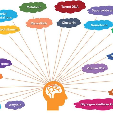 Schematic Representation Of The Glucose Biosensor Invented By Clark And Download Scientific
