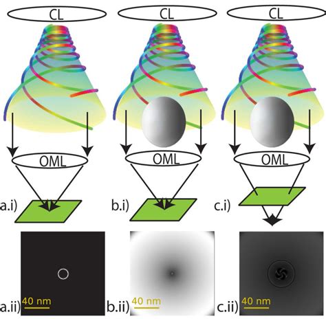 A Schematic Of Fresnel Contrast Obtained From Electron Vortex Download Scientific Diagram