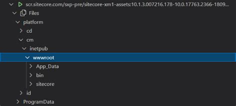 Deploy A Sitecore Xp Pre Release Using Docker Sitecore Documentation