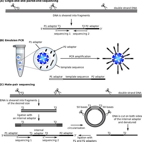 Difference Between Linker And Adaptor Compare The Difference Between Similar Terms