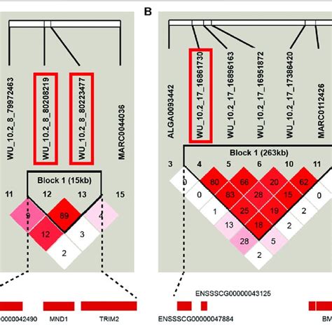 Haplotype Blocks For Significant Snps Indicate A Haplotype Block