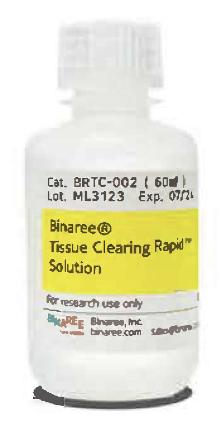 A Closer Look At Optical Clearing Agents And Technology Amuza Inc