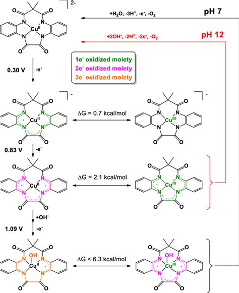 The Oxidation Sequence Of The Cu Ii Complex Containing The 13 Member