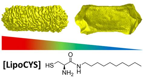 Tuning The Growth Of Chiral Gold Nanoparticles Through Rational Design Of A Chiral Molecular