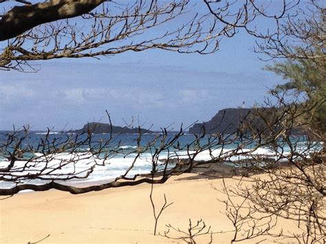 Vacationing What I Left Behind