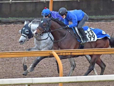 【中山＆阪神の危険な人気馬】中山11r シルヴァーソニック競馬・レースデイリースポーツ Online