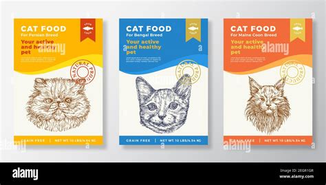 Cat Food Label Templates Set Abstract Vector Packaging Design Layouts