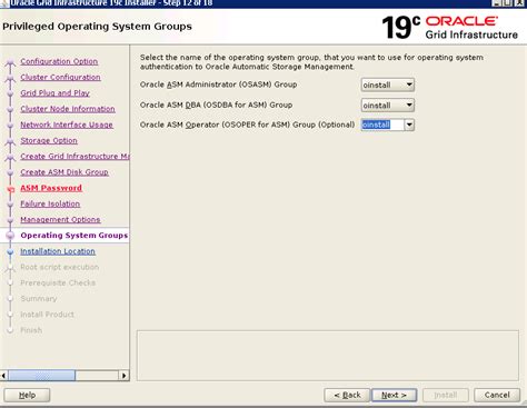 Step By Step Guide To Install Oracle 19c Rac With Asm And Version Upgrade Database Analyser