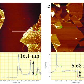 AFM Topographies Of The GO SiO Surfaces After Incubated At Typical Download Scientific