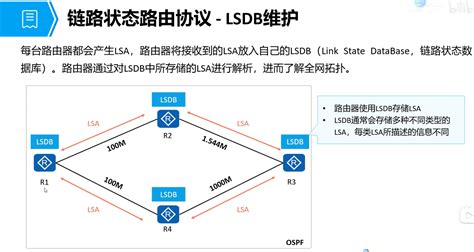 动态路由协议 Ospf Csdn博客