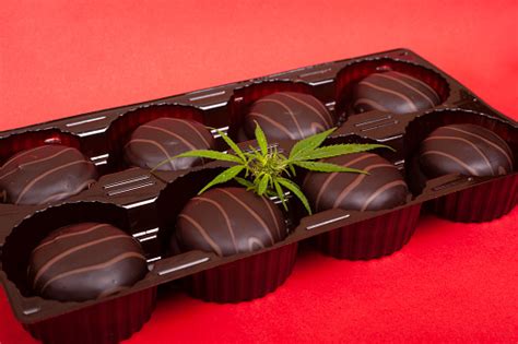 마시멜로와 마리화나와 초콜릿 쿠키 빨간색 배경에 대마초 쿠키 Cannabis Indica에 대한 스톡 사진 및 기타 이미지 Cannabis Indica Thc 꽃