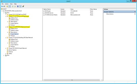 Create The Dhcp Scopes For Vlan100 And Vlan200 Groups Expert Network