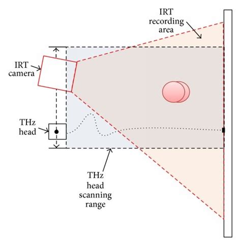 Schematic View Of The Experiments Setup And Spatial Relationship Download Scientific Diagram