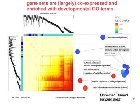 Ppt V10 Bayesian Parameter Estimation Powerpoint Presentation Free Download Id 2032137